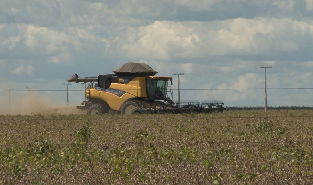 O agro está cada vez mais conectado