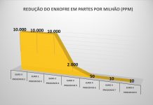 O que significa PROCONVE P8/ EURO 6? Montadoras explicam adaptação dos ...