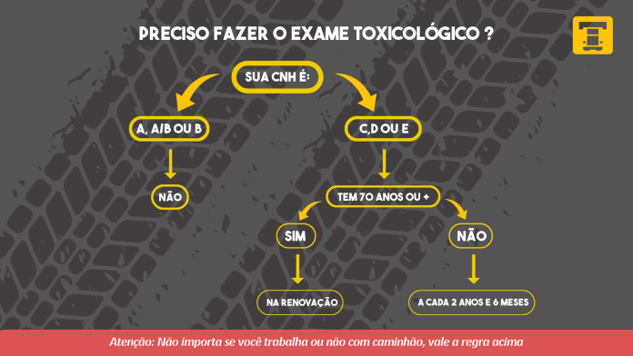 Quem precisa fazer o exame toxicológico até dezembro?